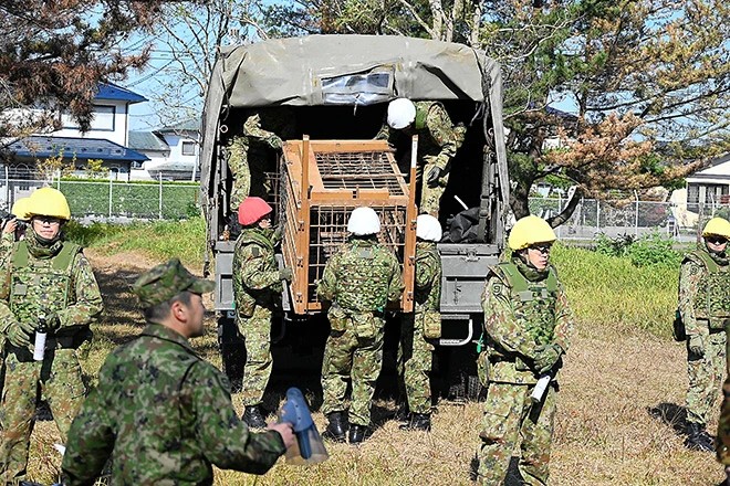 クマ対策、秋田が自衛隊派遣要望 被害50人超 | 朝日ウイークリーデジタル(Asahi Weekly DIGITAL)日本語解説付きで読めて聴ける英字新聞