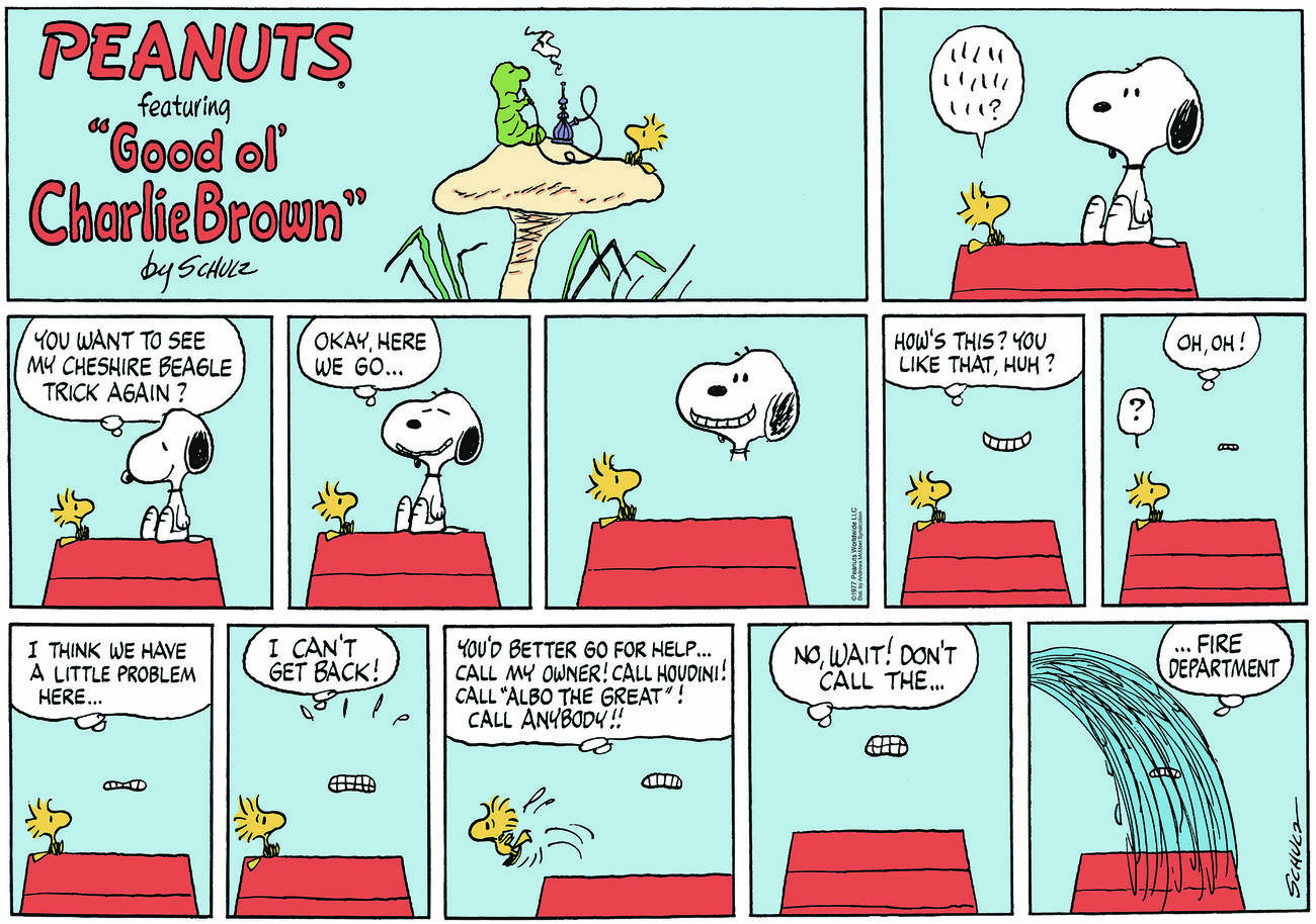 不思議の国に迷い込んで | 朝日ウイークリーデジタル(Asahi Weekly DIGITAL)日本語解説付きで読めて聴ける英字新聞